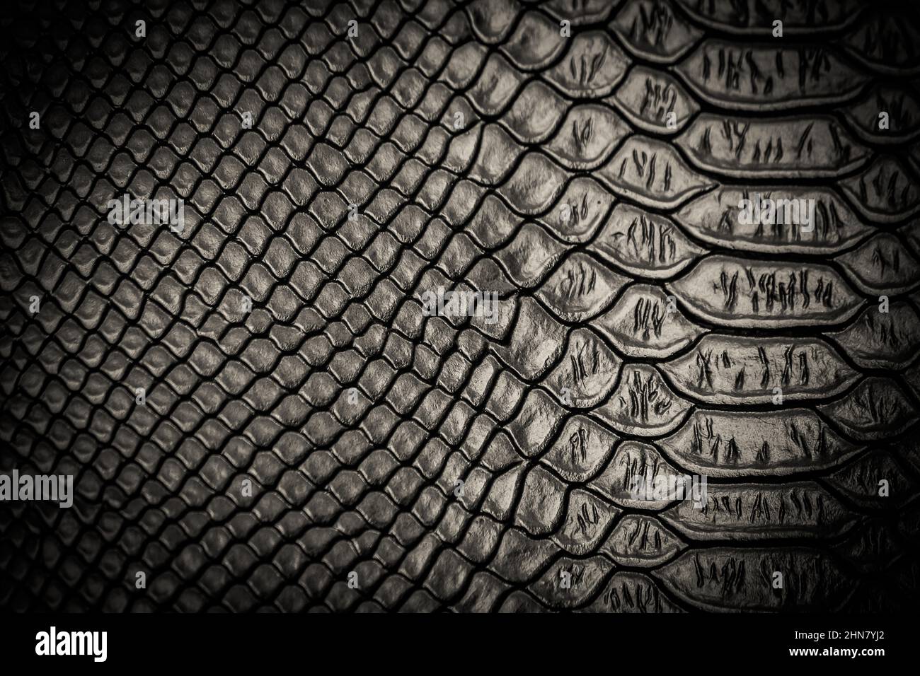 Black snake skin pattern texture background Stock Photo - Alamy