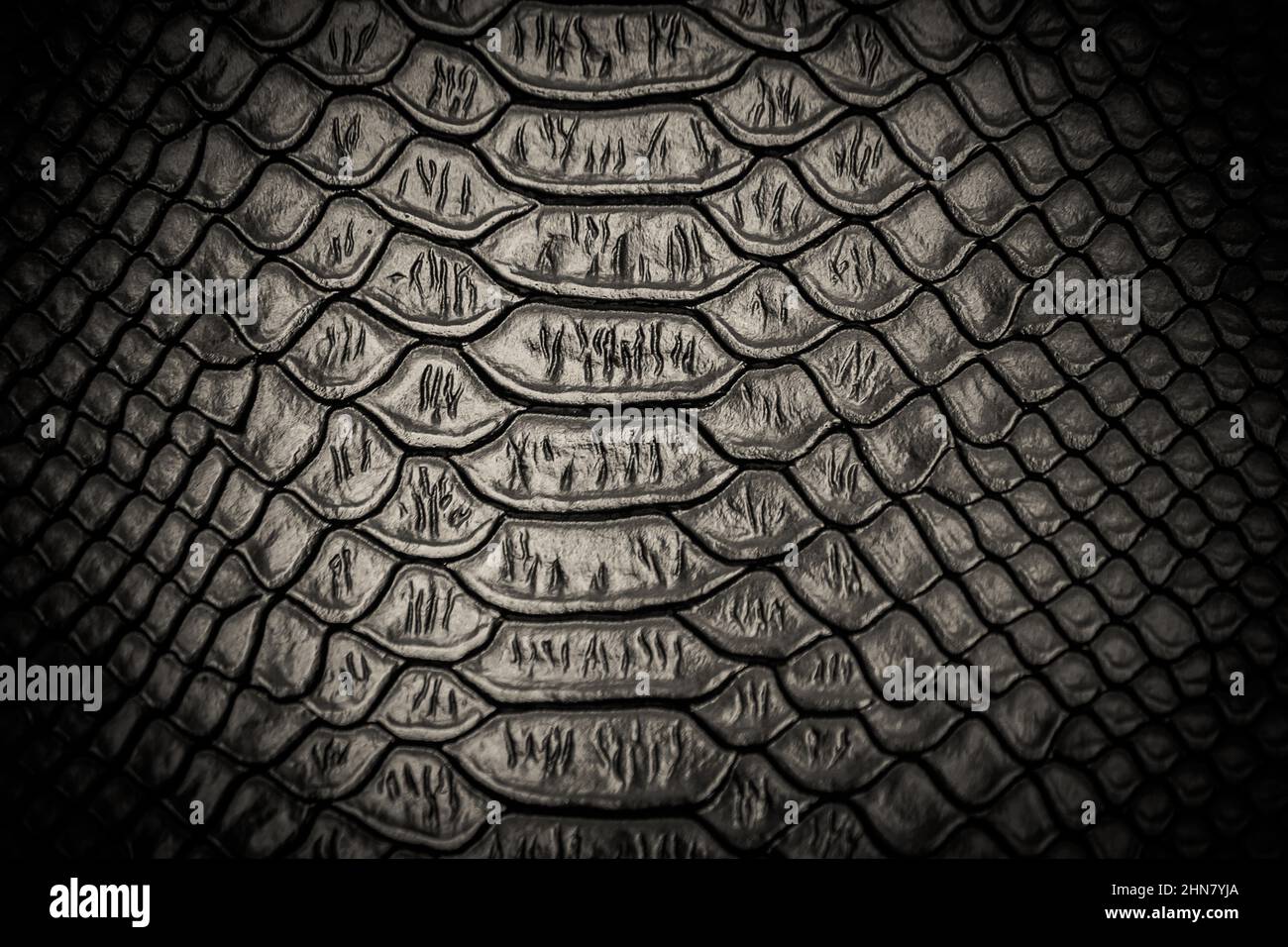 Black snake skin pattern texture background Stock Photo - Alamy