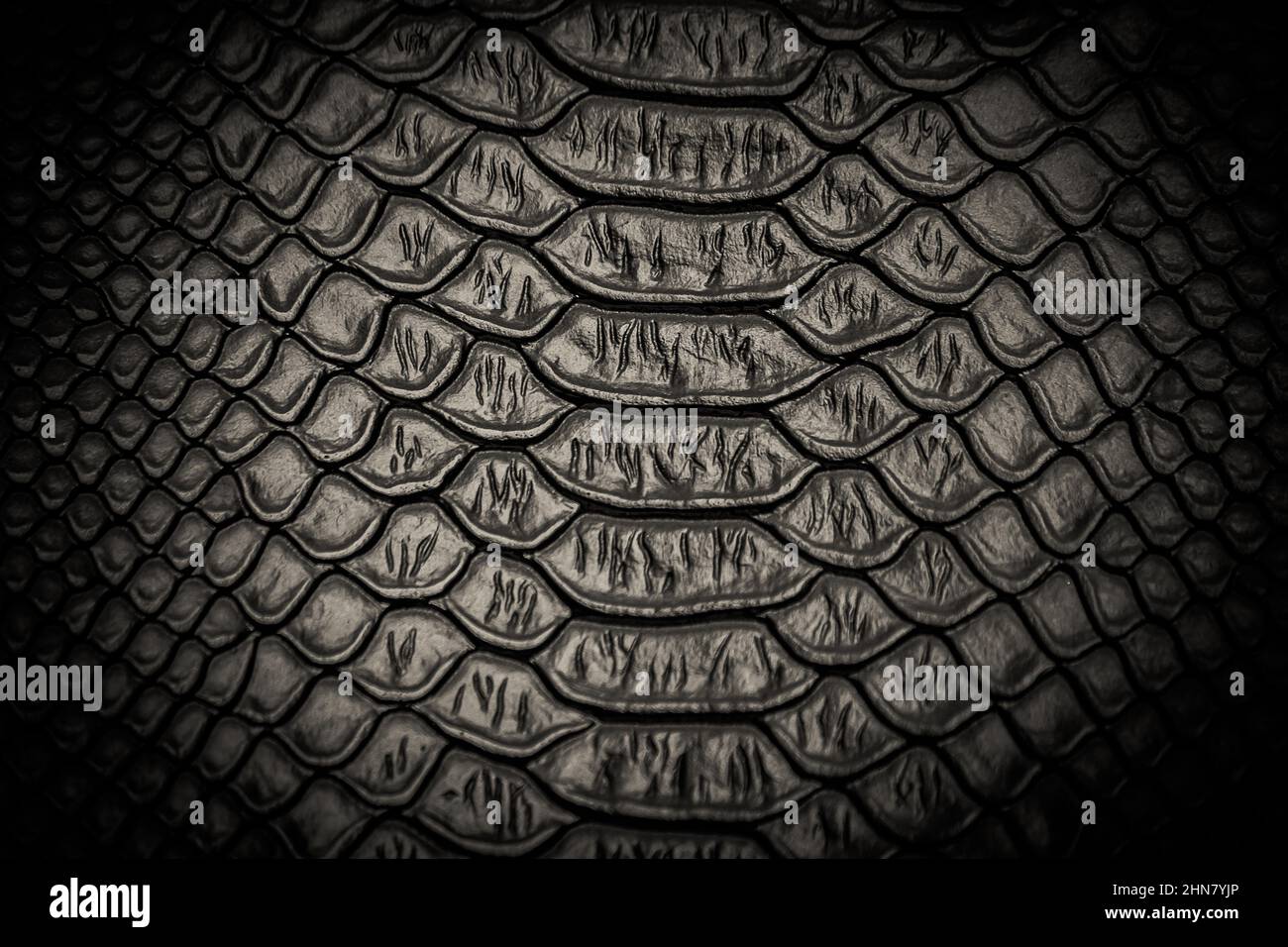 Black snake skin pattern texture background Stock Photo - Alamy