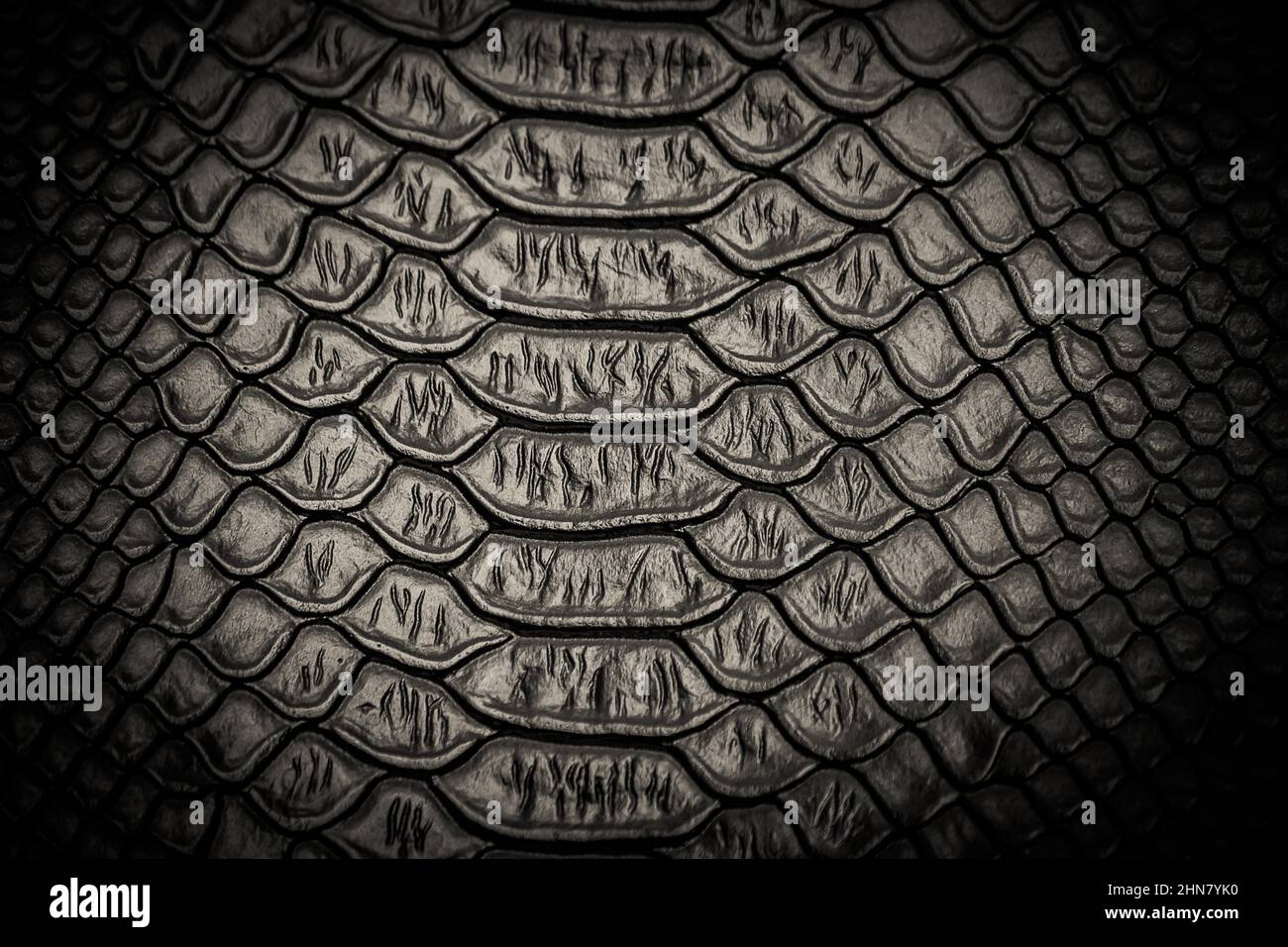 Black snake skin pattern texture background Stock Photo - Alamy