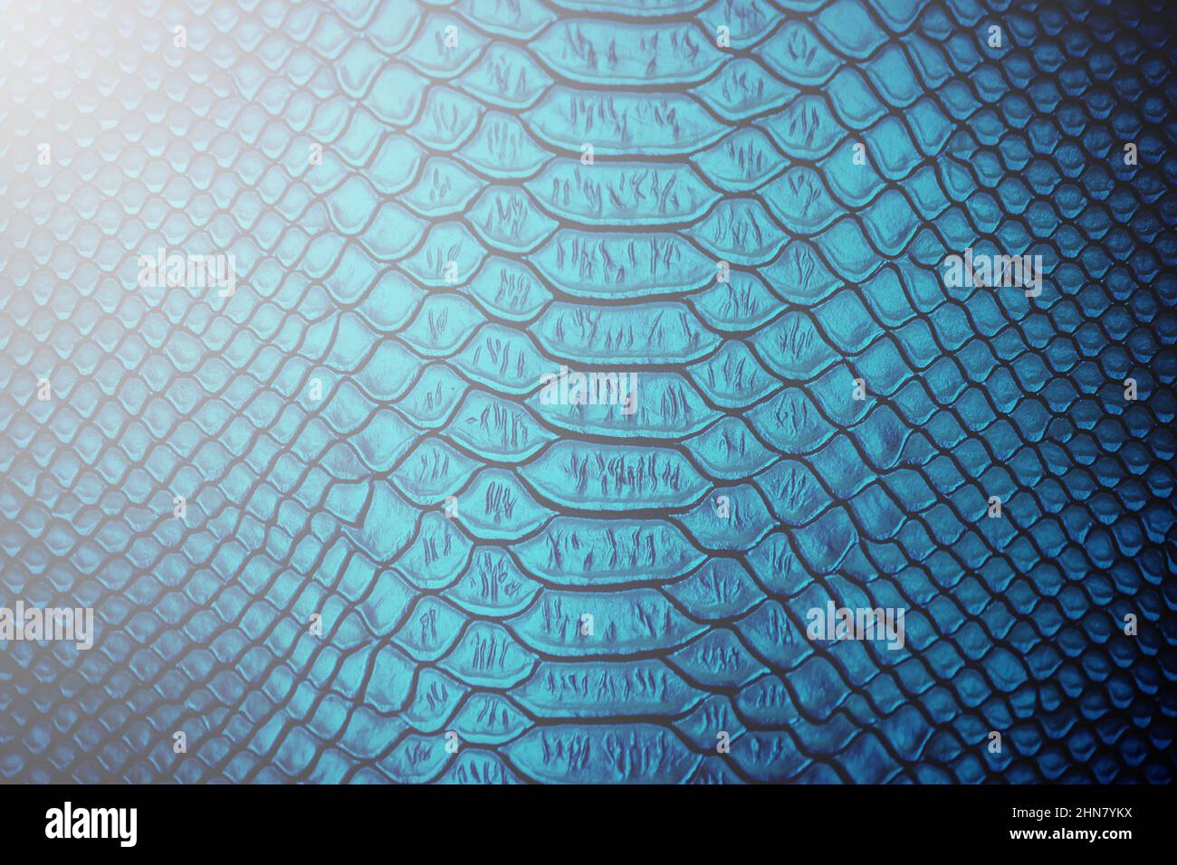 Close up of Luxury snake skin texture use for background Stock Photo ...