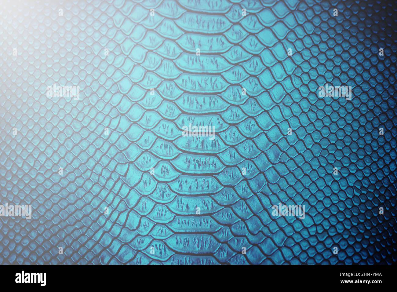 Close up of Luxury snake skin texture use for background Stock Photo ... Close up of Luxury snake skin texture use for background Stock Photo ...