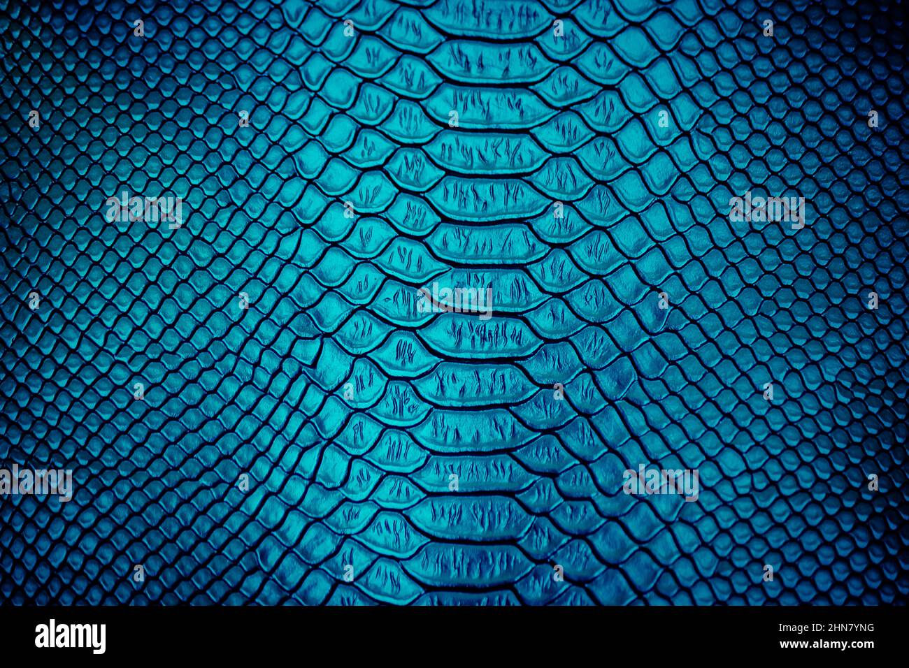 Close up of Luxury snake skin texture use for background Stock Photo ...