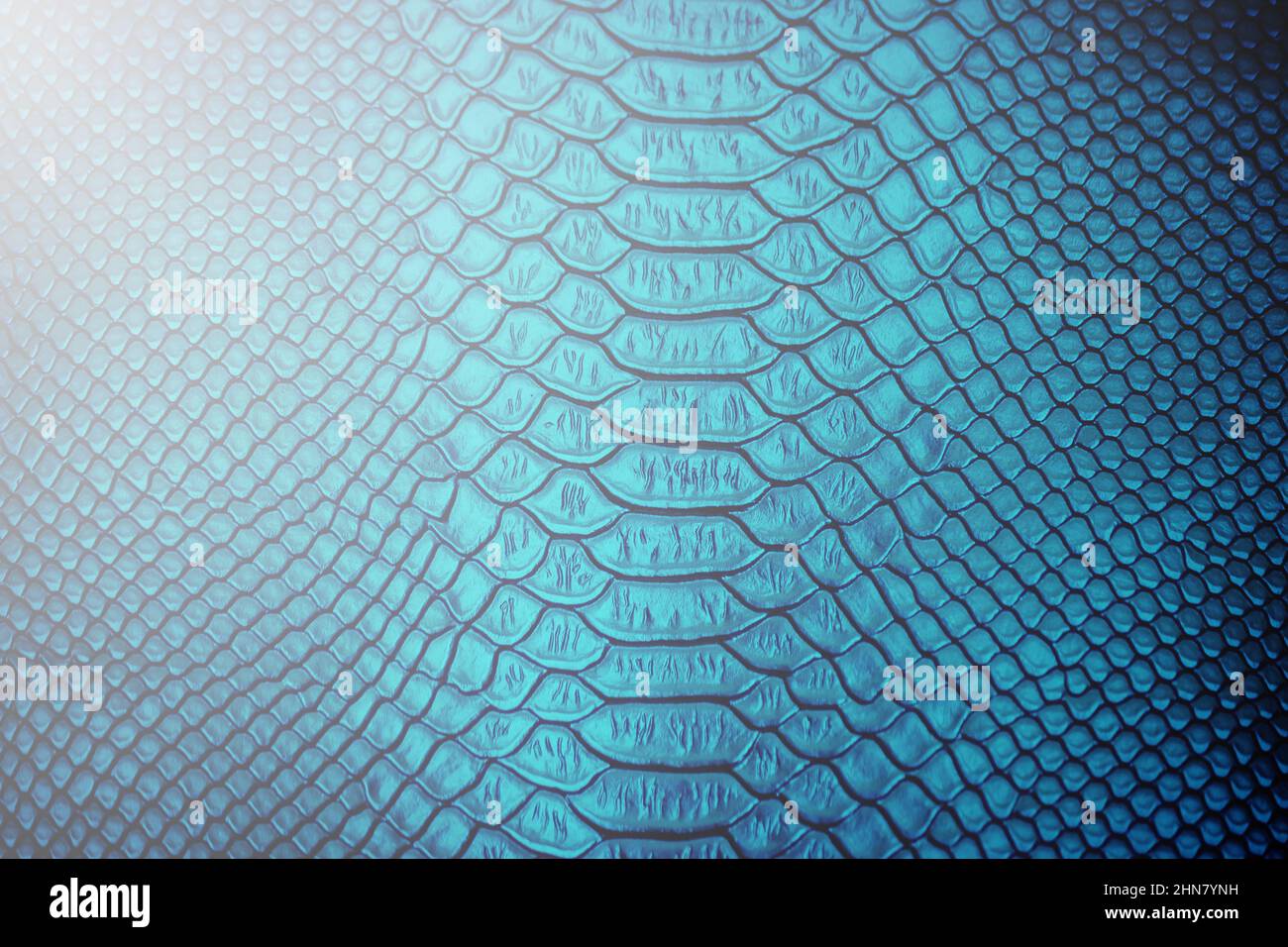 Close up of Luxury snake skin texture use for background Stock Photo ...