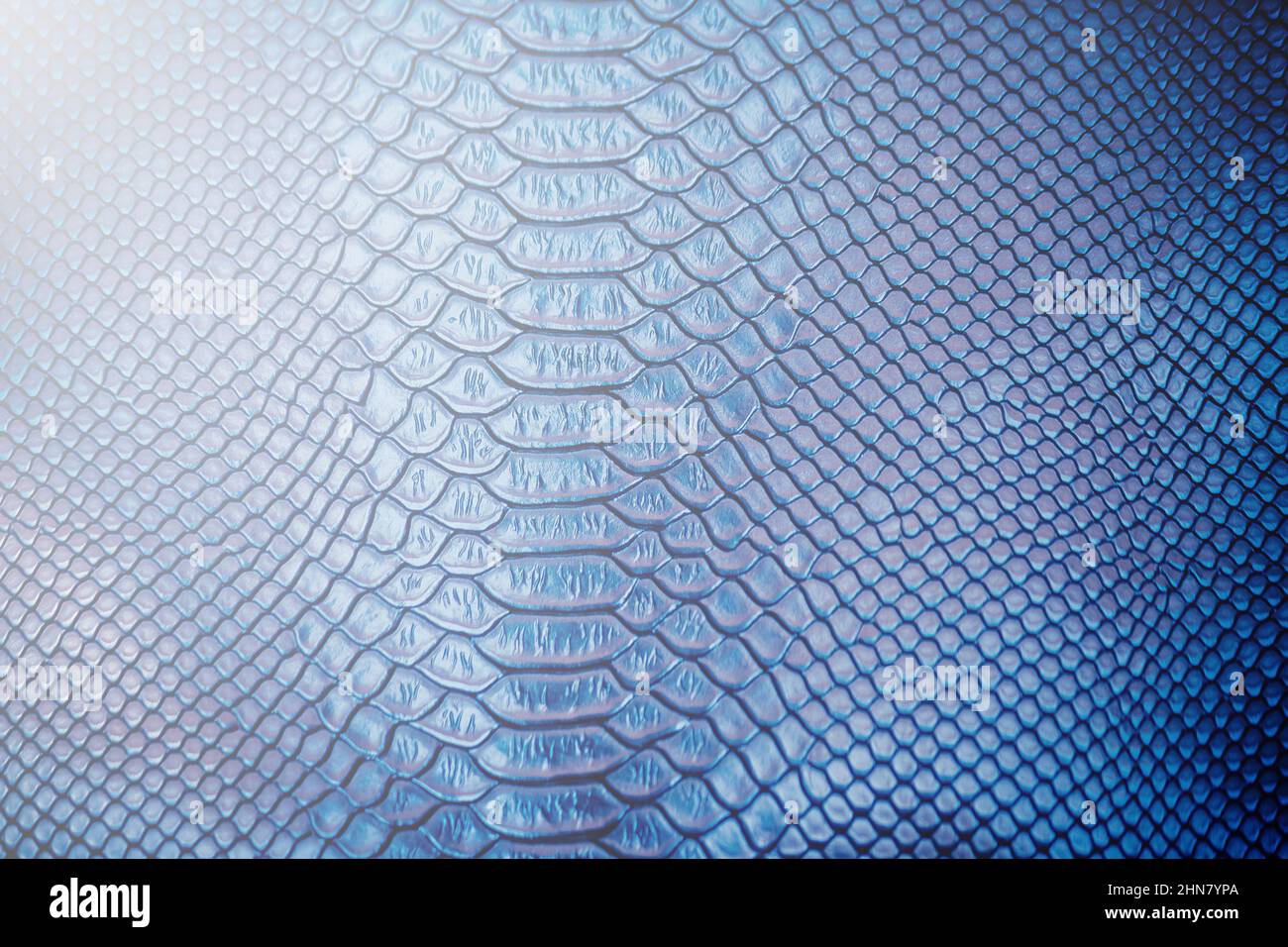 Close up of Luxury snake skin texture use for background Stock Photo ...