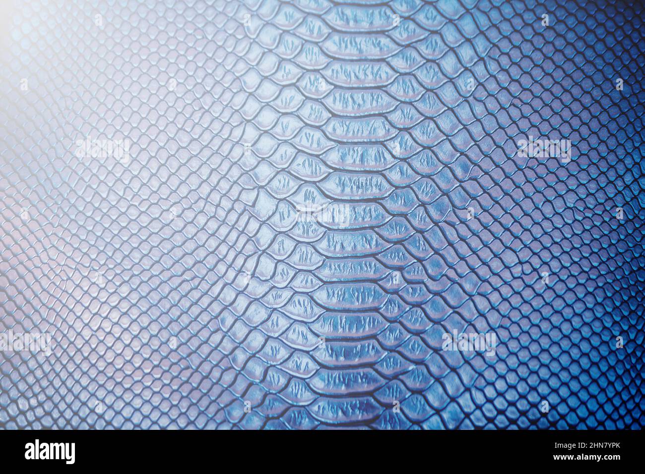 Close up of Luxury snake skin texture use for background Stock Photo ...