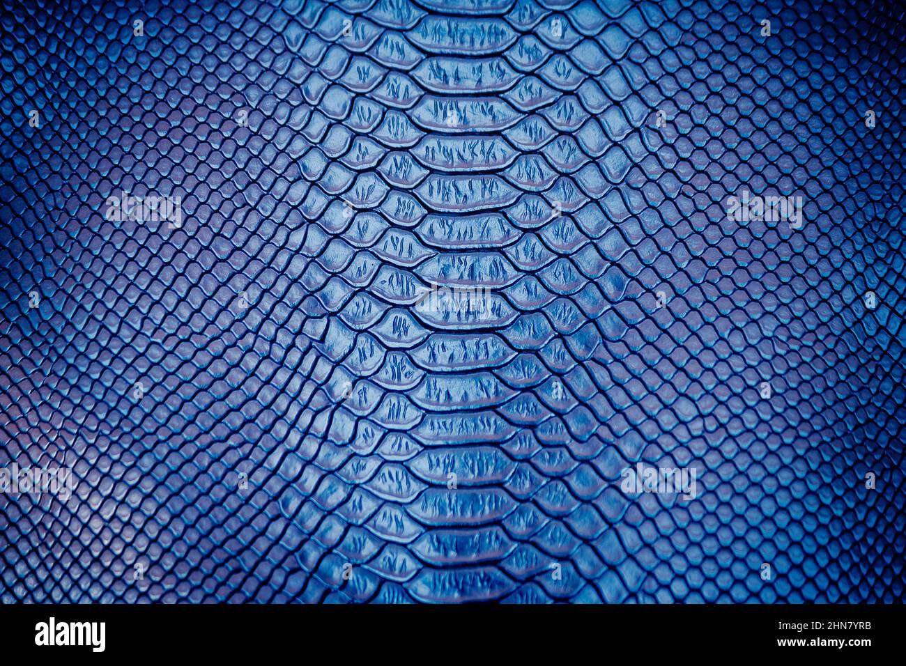 Close up of Luxury snake skin texture use for background Stock Photo ...