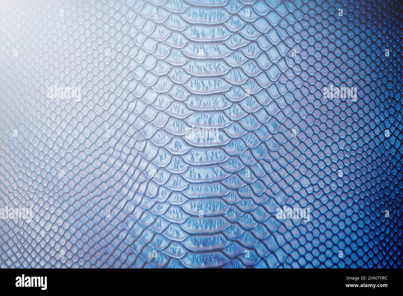 Close up of Luxury snake skin texture use for background Stock Photo ...