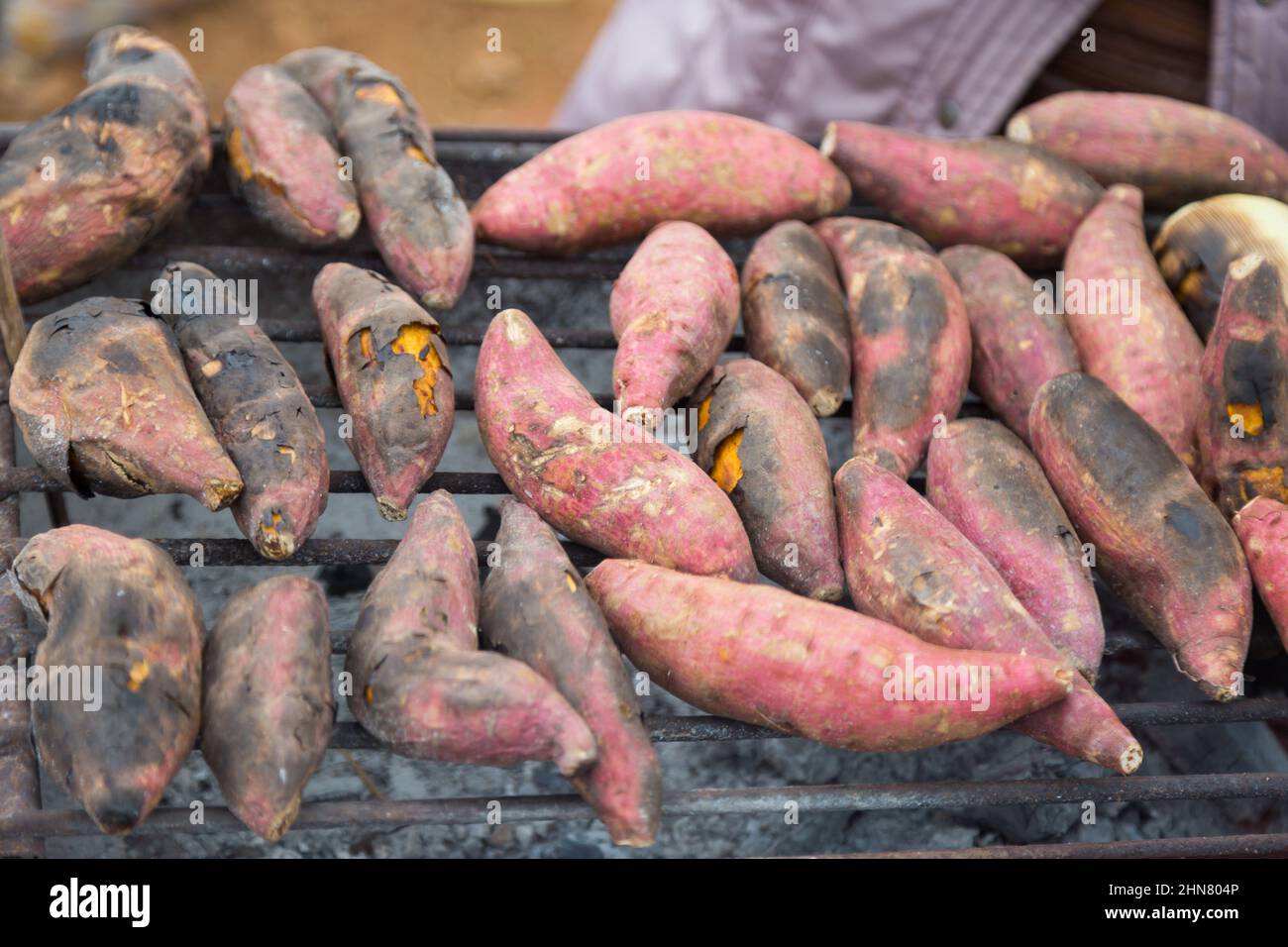 Fresh organic orange sweet potato on owen Stock Photo - Alamy