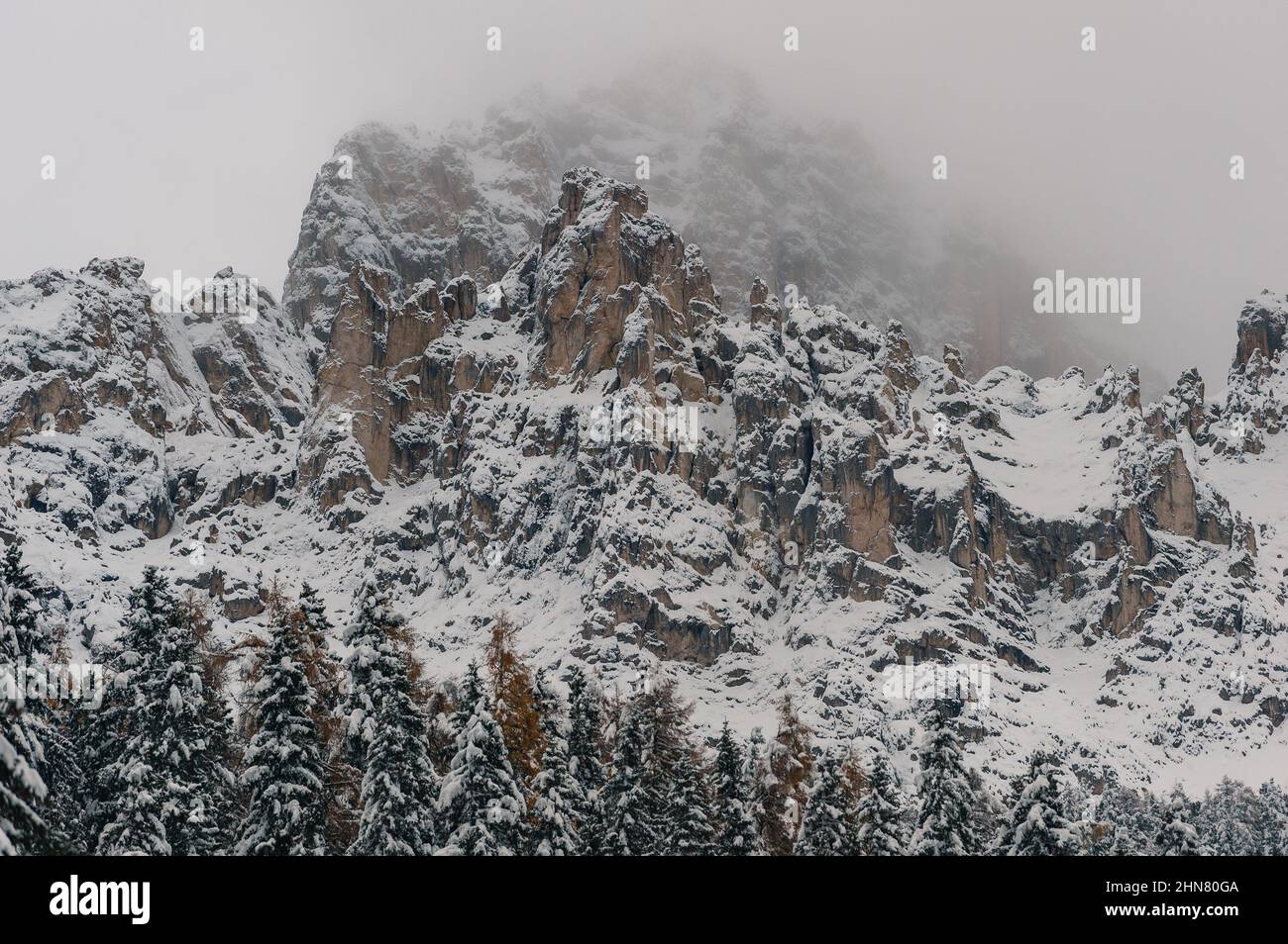 Chilling view of the snow-capped mountain and forest landscape in South ...