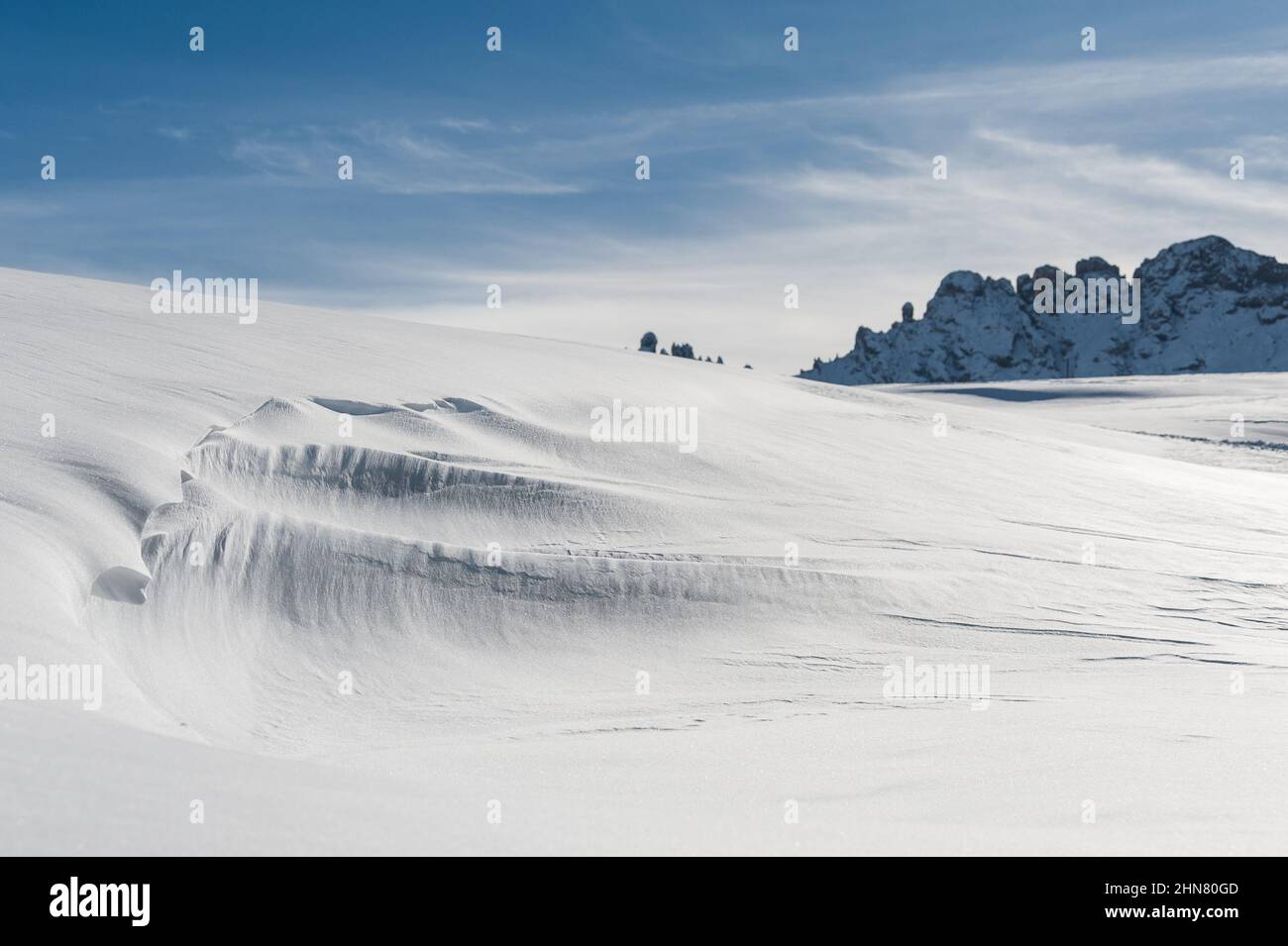 Chilling view of the snow-capped mountain and forest landscape in South ...