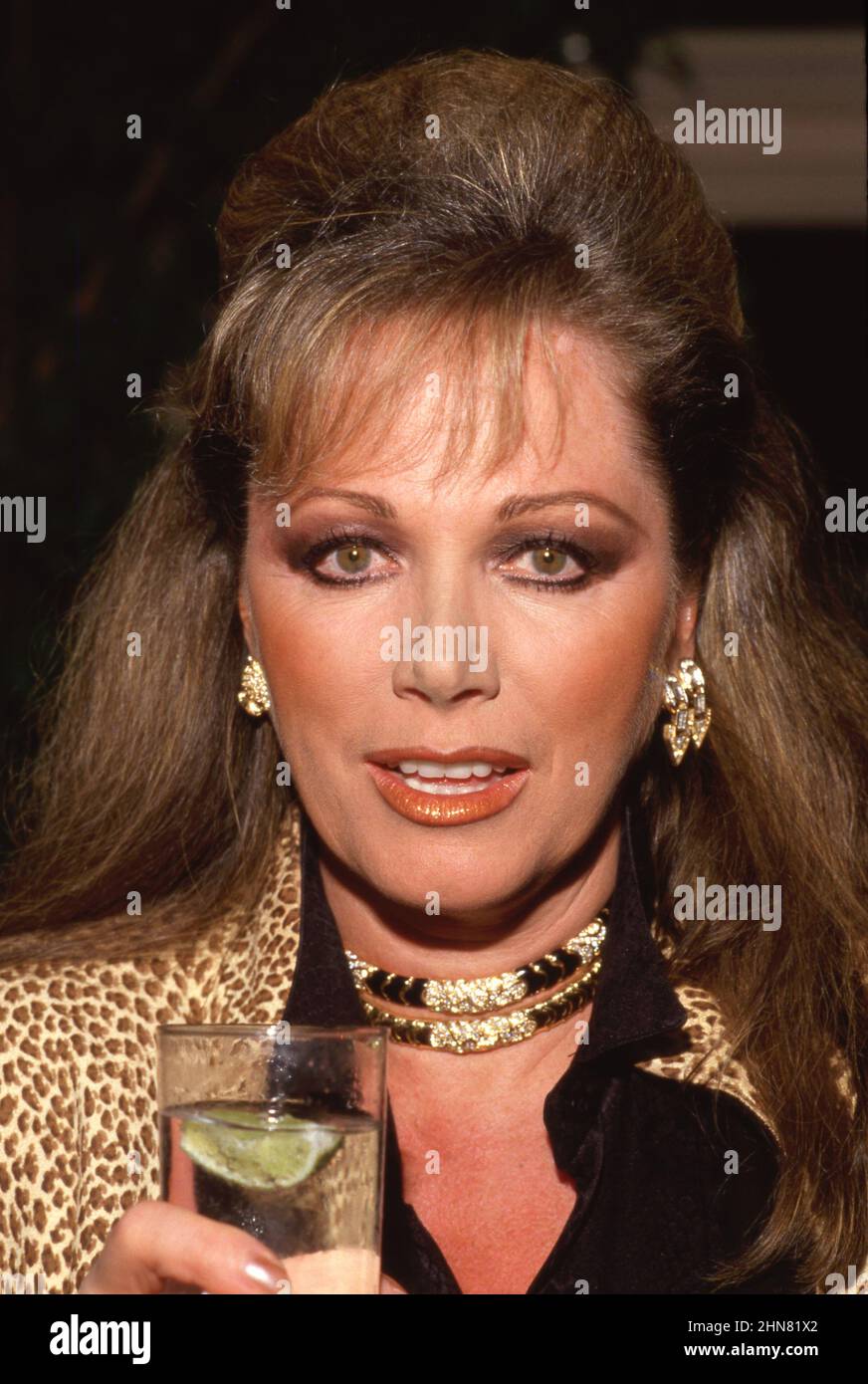 Jackie Collins Circa 1980's Credit: Ralph Dominguez/MediaPunch Stock ...
