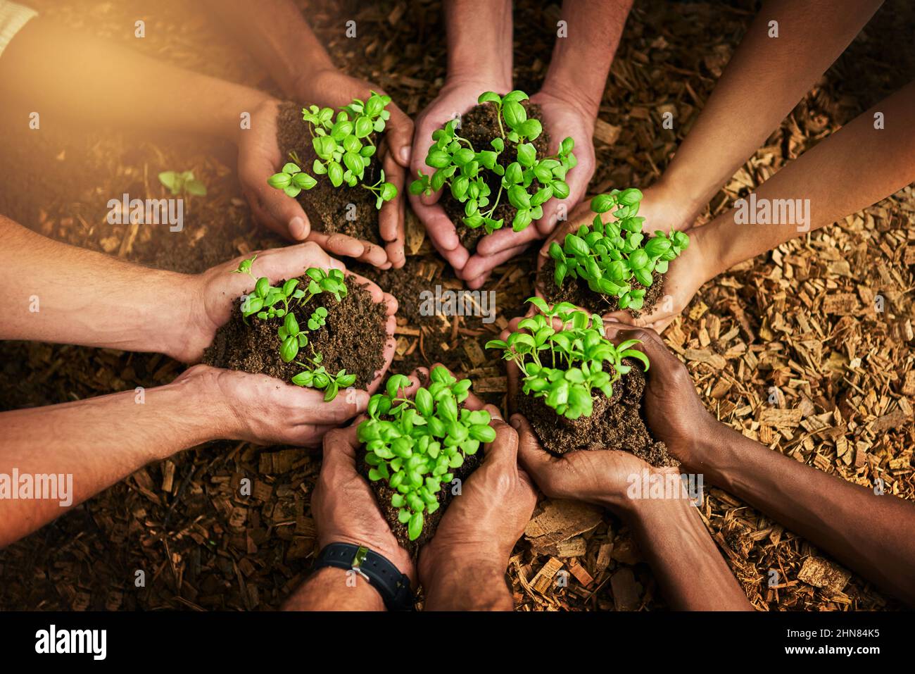 Working together for a green cause. Cropped shot of a group of people ...