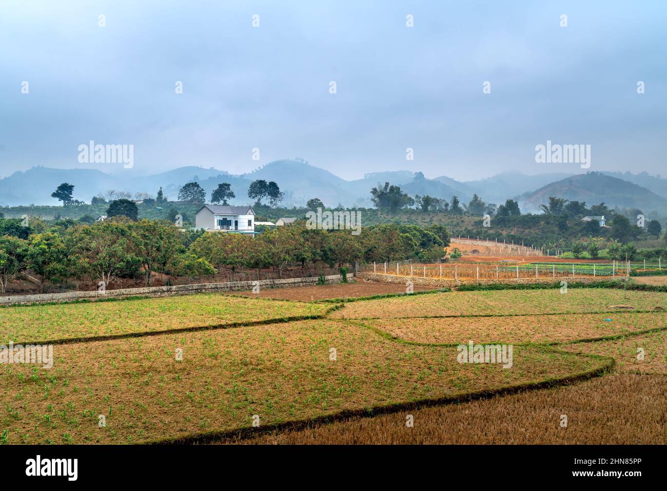 Rural landscape in the north of Vietnam Stock Photo - Alamy