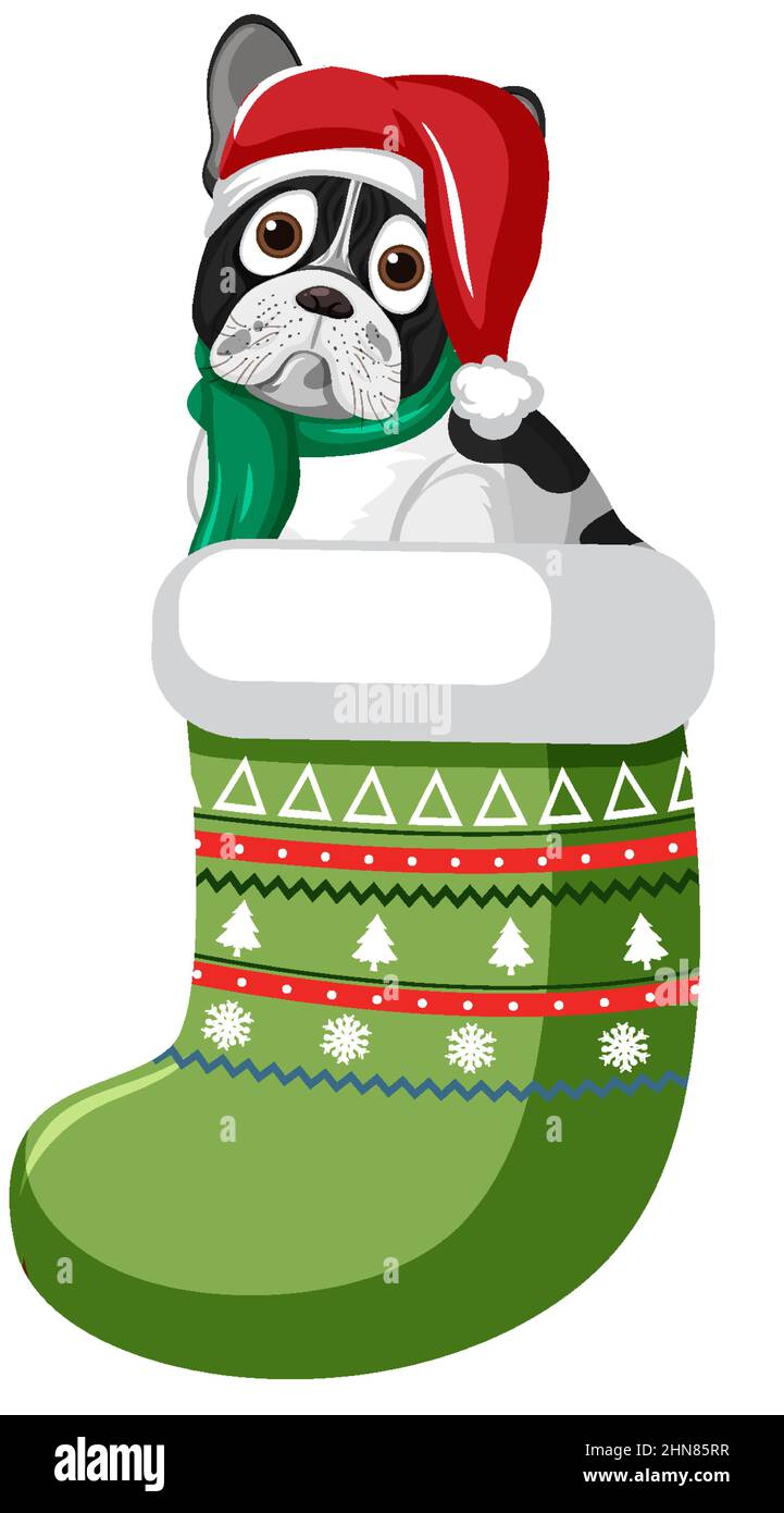 Cartoon french bulldog in Christmas stocking illustration Stock Vector ...