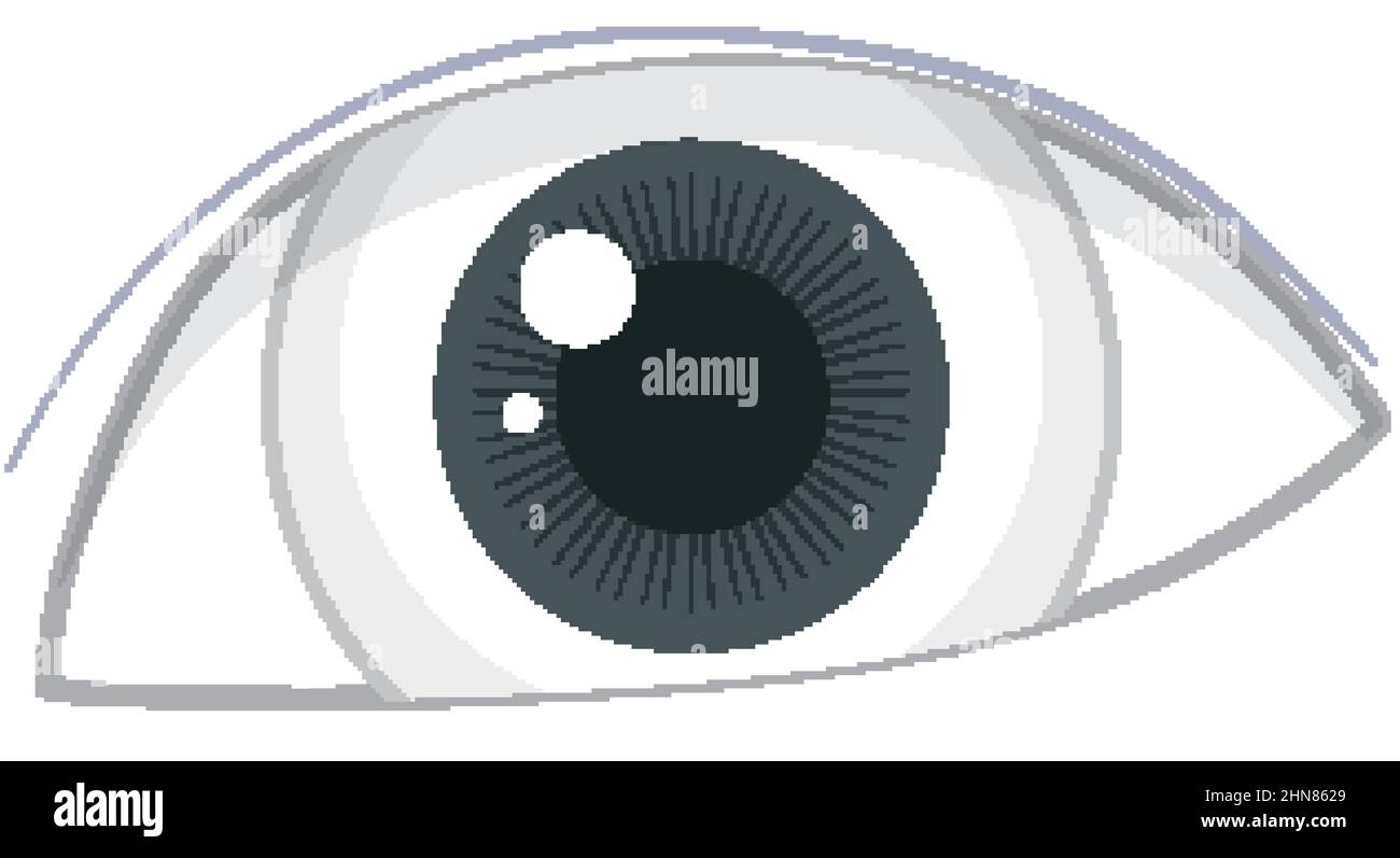 Human eye in cartoon style illustration Stock Vector Image & Art - Alamy