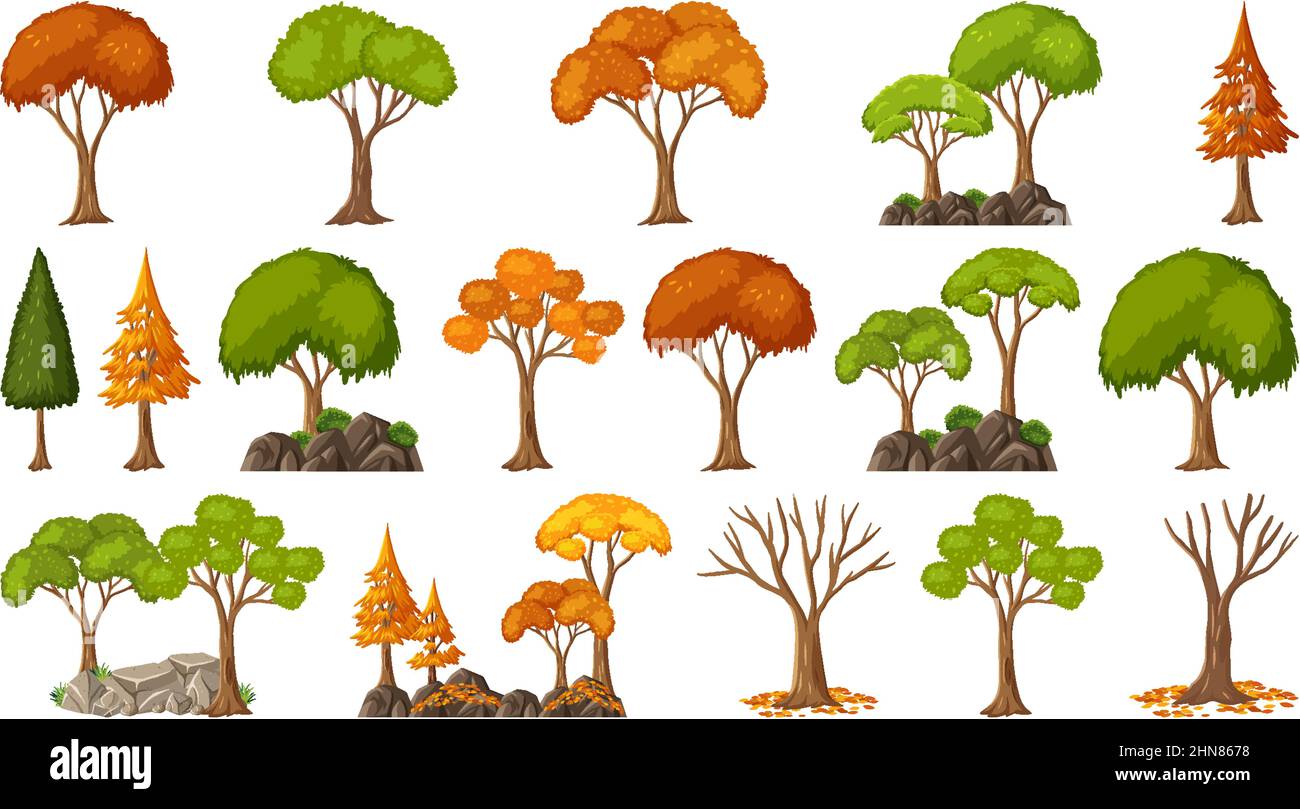 Set of four seasons trees on white background illustration Stock Vector ...