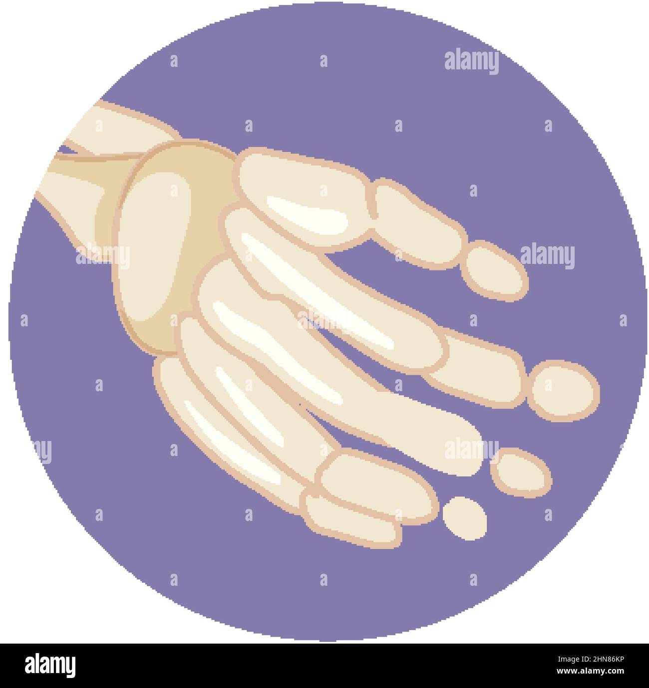 Hand bone in cartoon style illustration Stock Vector Image & Art - Alamy