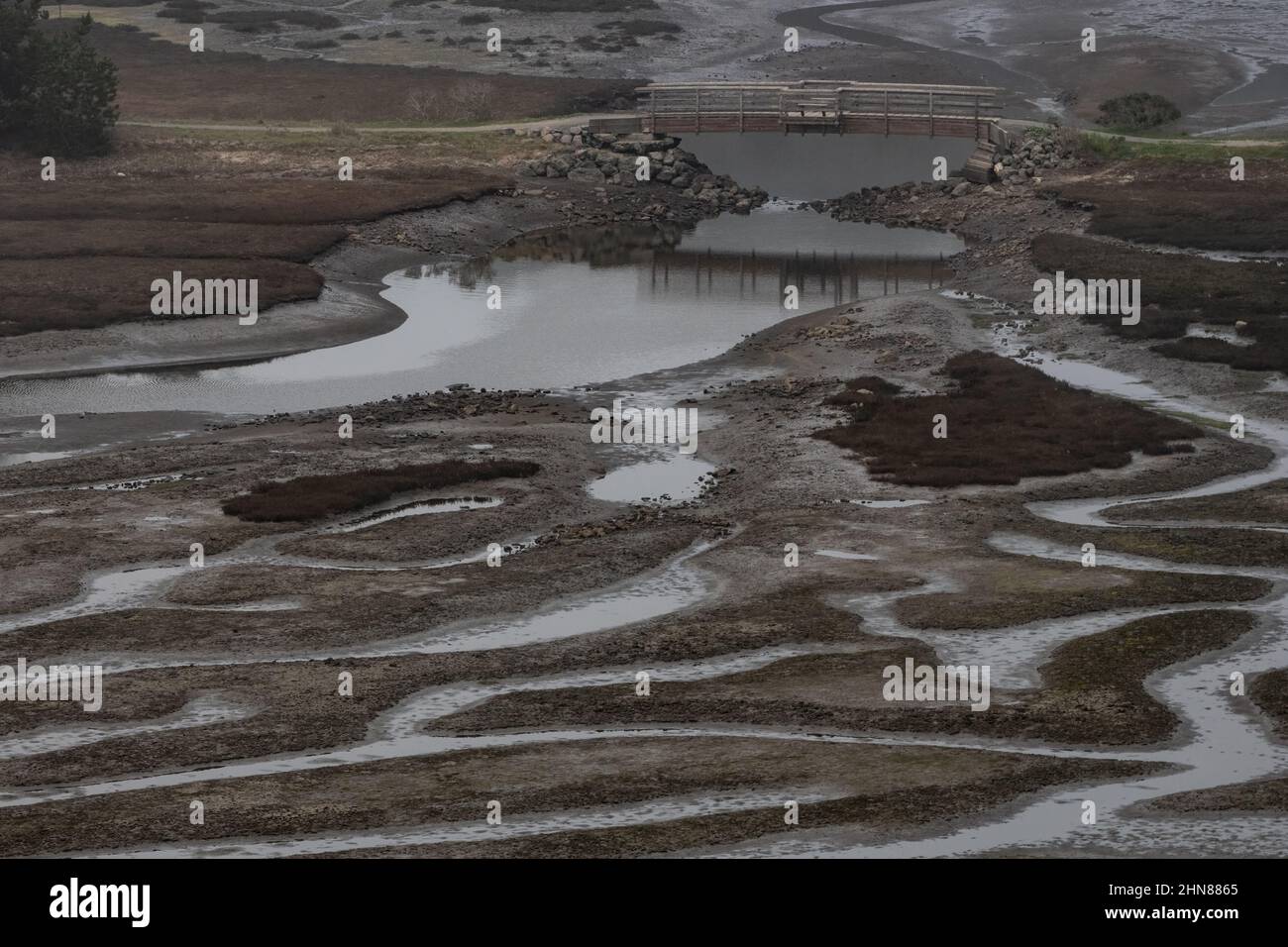 Coastal wetland or marsh at low tide with a hiking trail and bridge ...