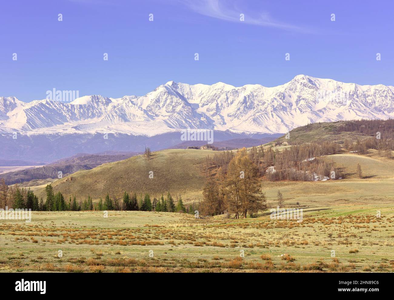 The North-Chui range in the Altai Mountains. Green valley in the Kurai ...
