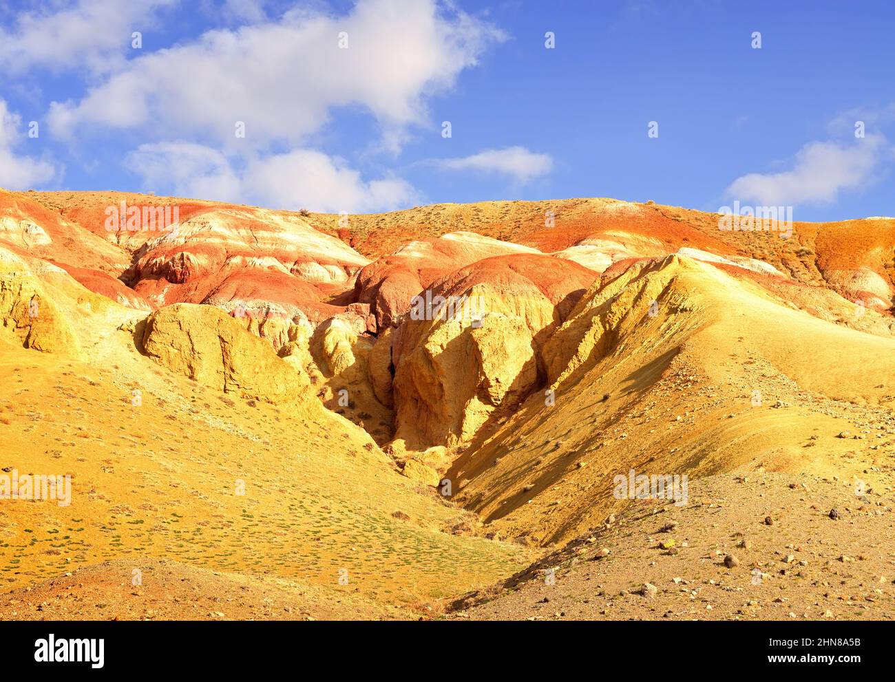 Mars in the Altai Mountains. The slope of the river terrace with the ...