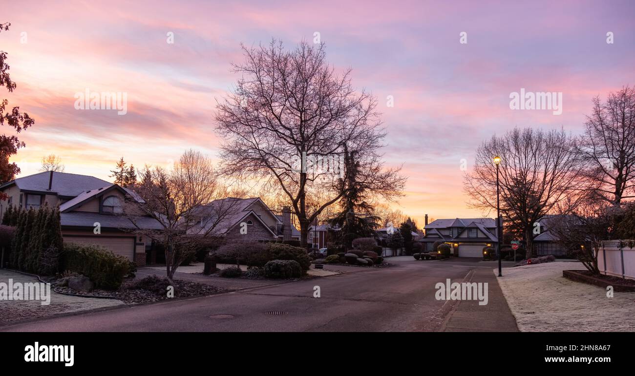 View of Residential Suburban Neighborhood Street in a modern city Stock ...