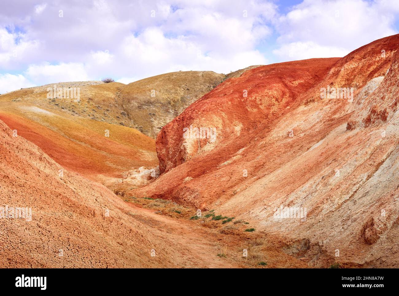 Mars in the Altai Mountains. The slope of the river terrace with the ...