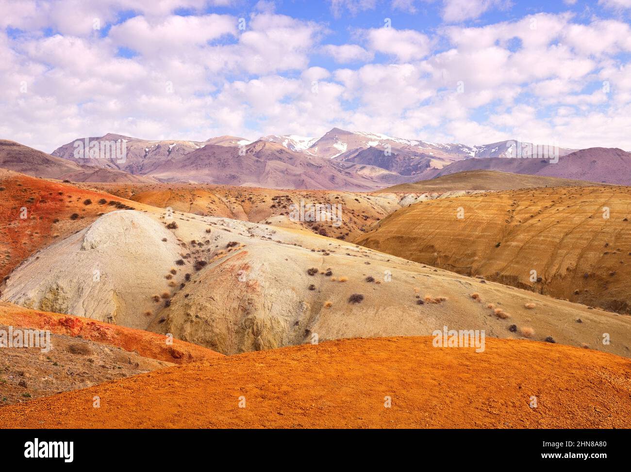 Mars in the Altai Mountains. The slope of the river terrace with the ...