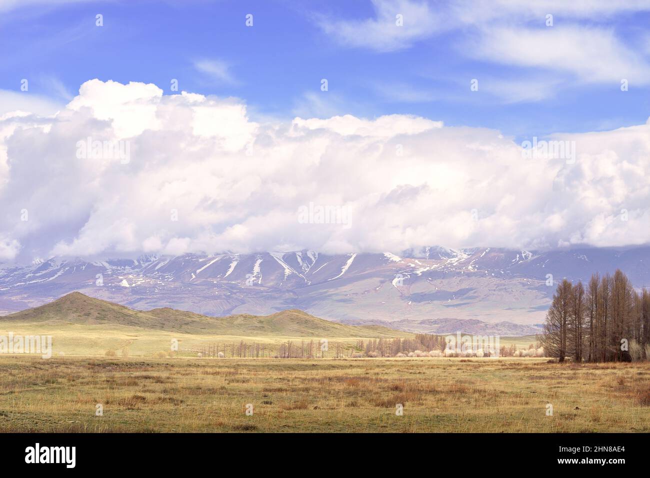 Kurai steppe in the Altai Mountains. Spring plain against the ...