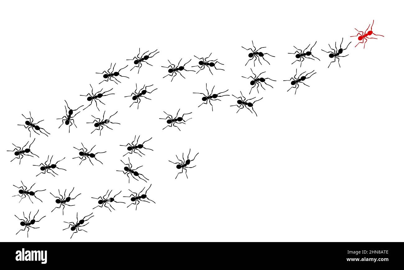 Worker ants trail line flat style design vector illustration isolated ...
