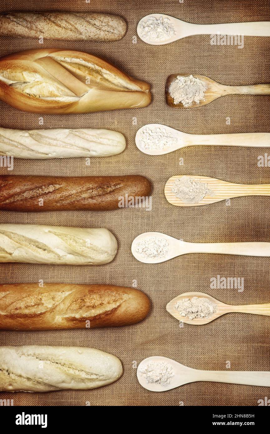 Vertical closeup of the spoons with types of flour for making bread ...
