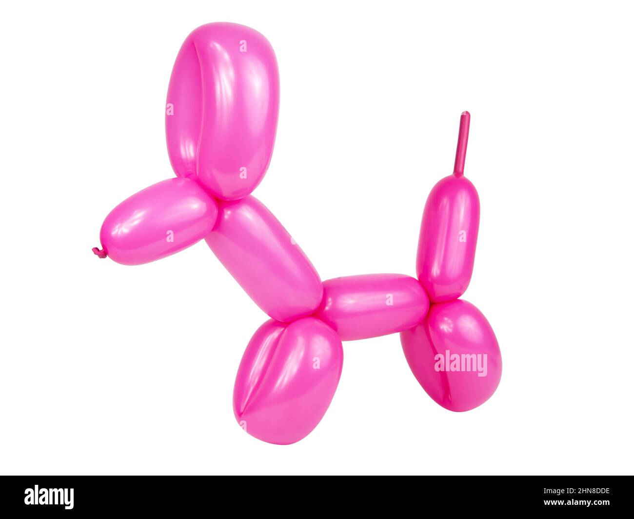 Party pink balloon dog isolated on the white background Stock Photo - Alamy