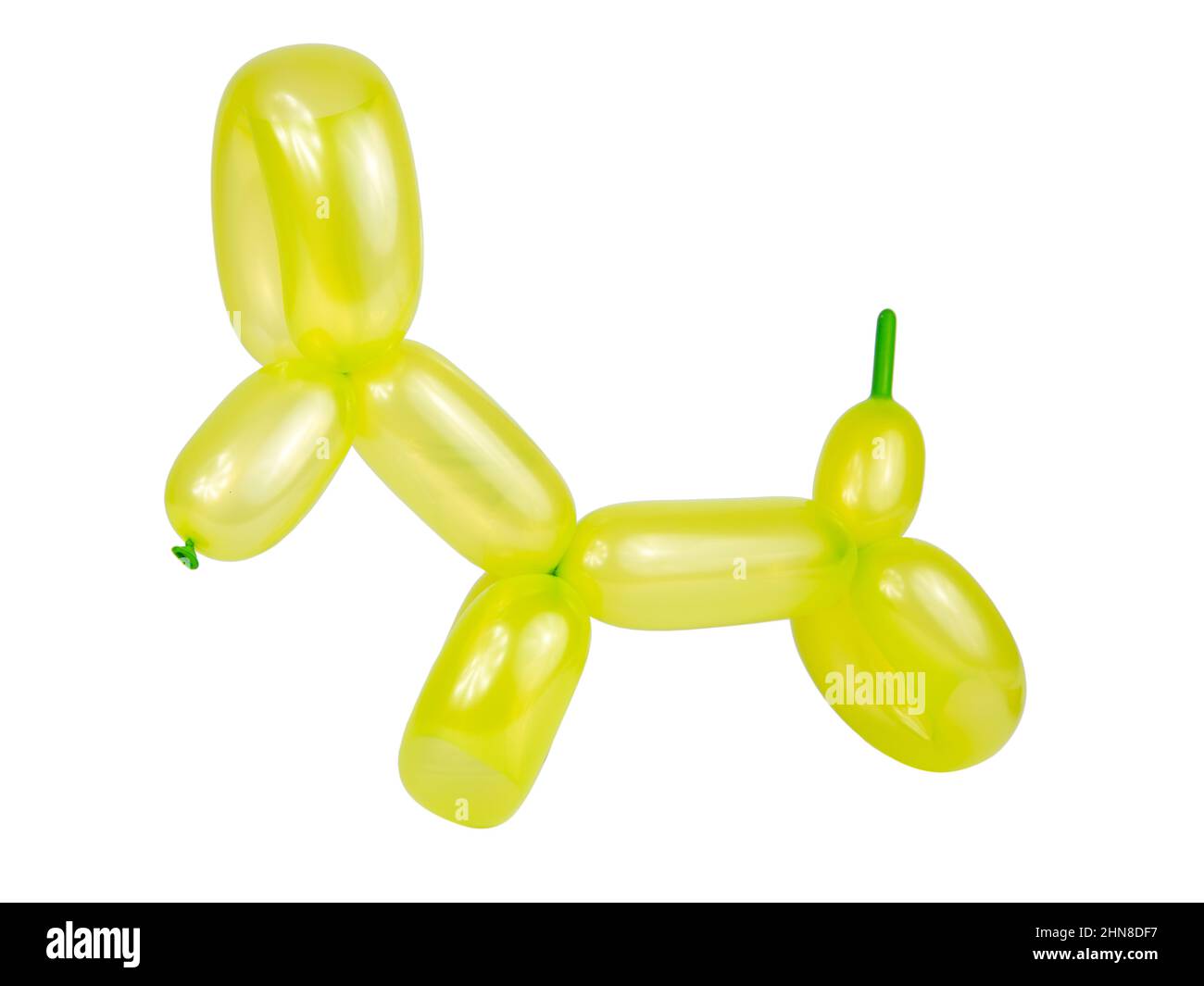 Party green balloon dog isolated on the white background Stock Photo ...