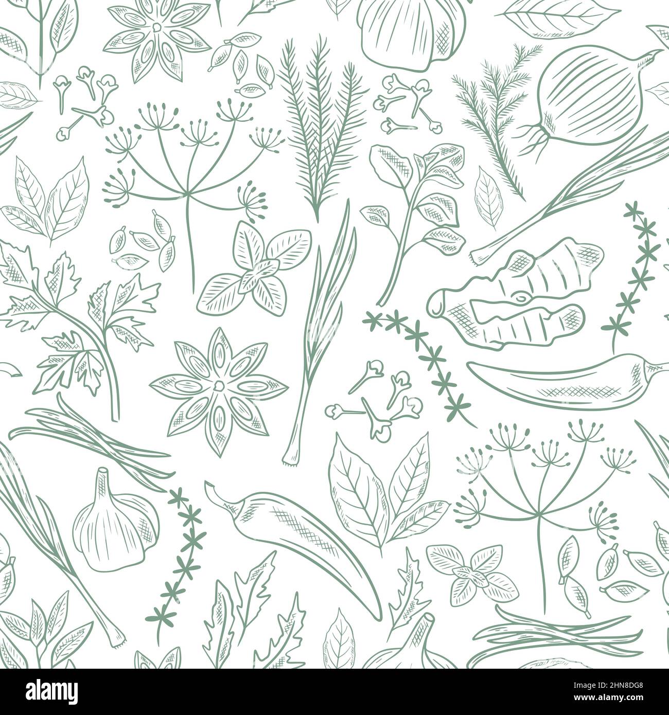 Spices and herbs hand sketch seamless pattern Stock Vector Image & Art - Alamy