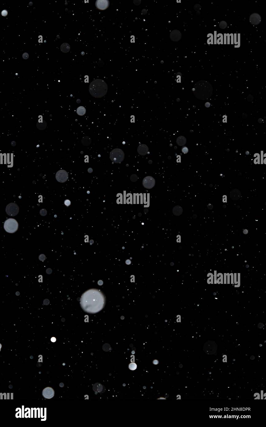 Real falling white snow against black night sky in the winter. Snowing ...