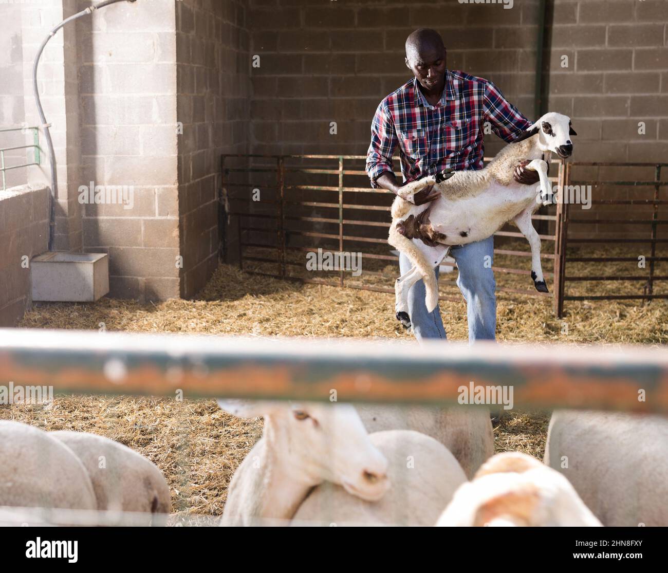 American ranch hands hi-res stock photography and images - Alamy