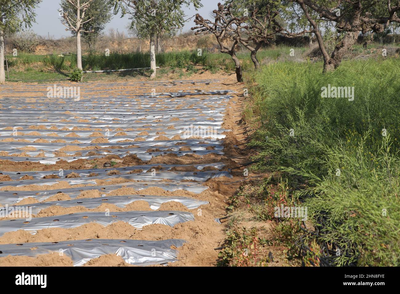 Modern agriculture hi-res stock photography and images - Alamy