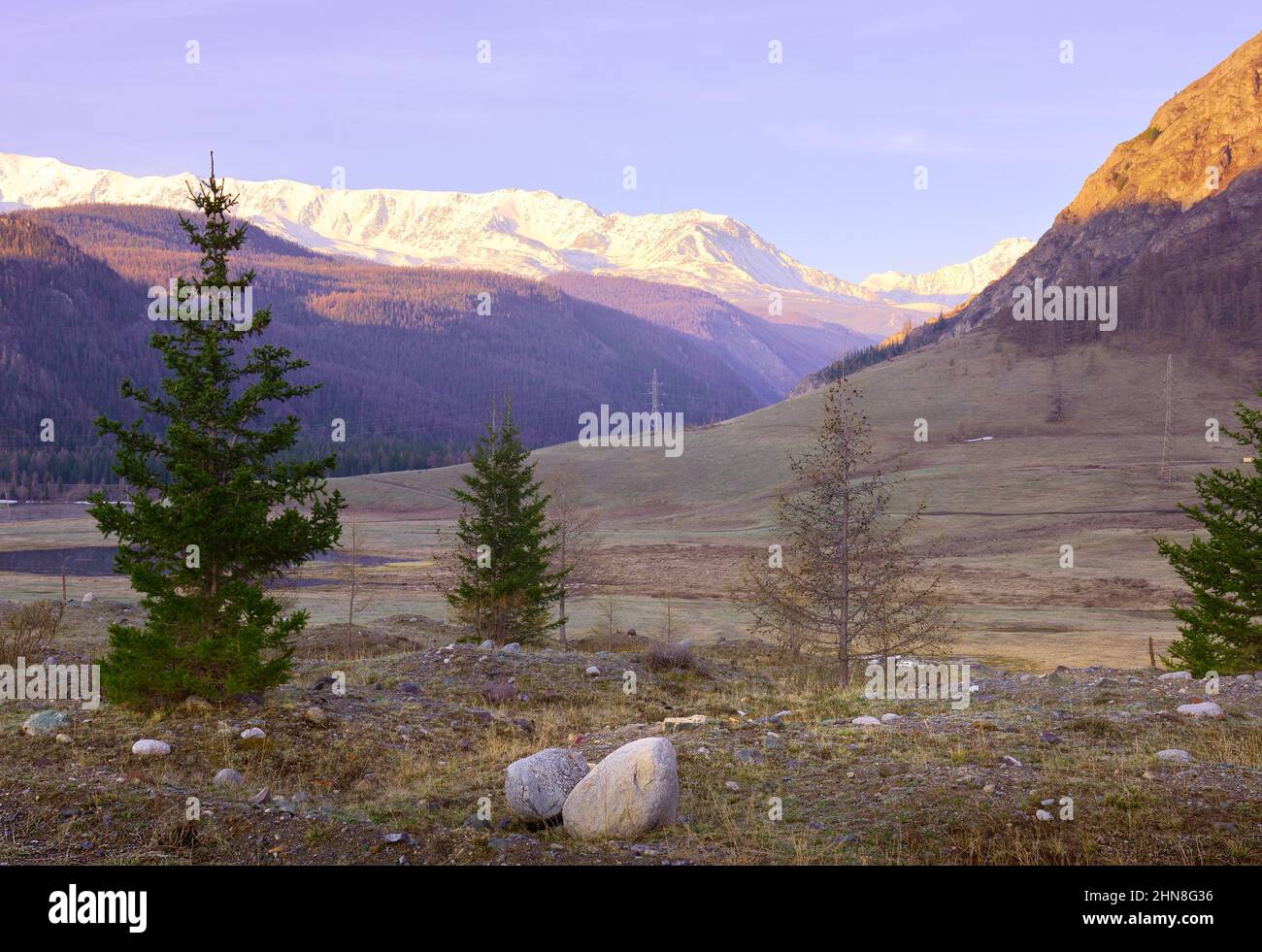 The North-Chui range in the Altai Mountains. Spiky fir trees in a ...