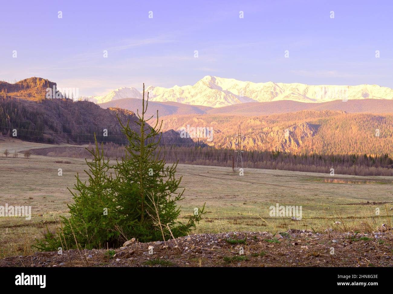 The North-Chui range in the Altai Mountains. Fir trees in the river ...