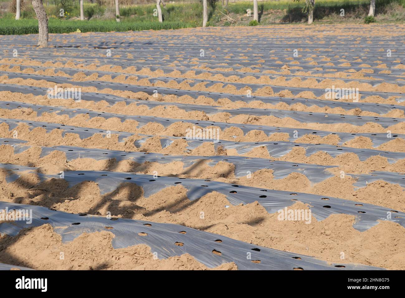 Modern agriculture hi-res stock photography and images - Alamy