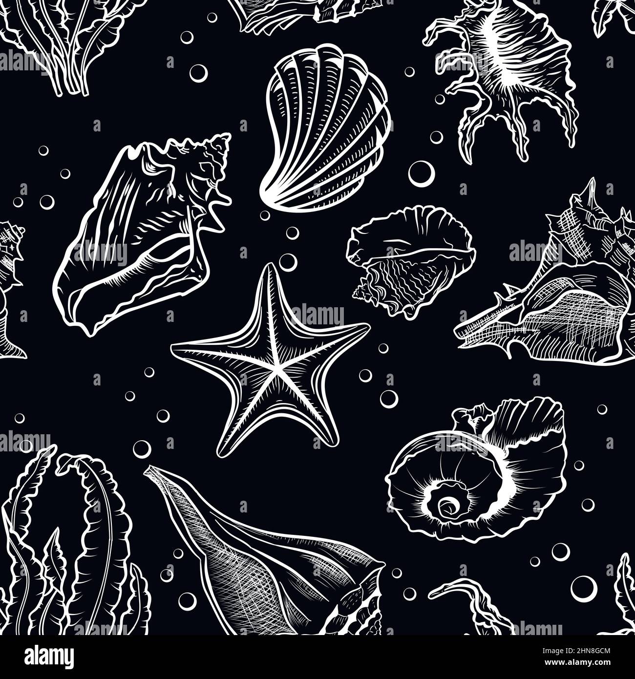 Sea Marine life creatures drawings. Sea urchin freehand outline ...