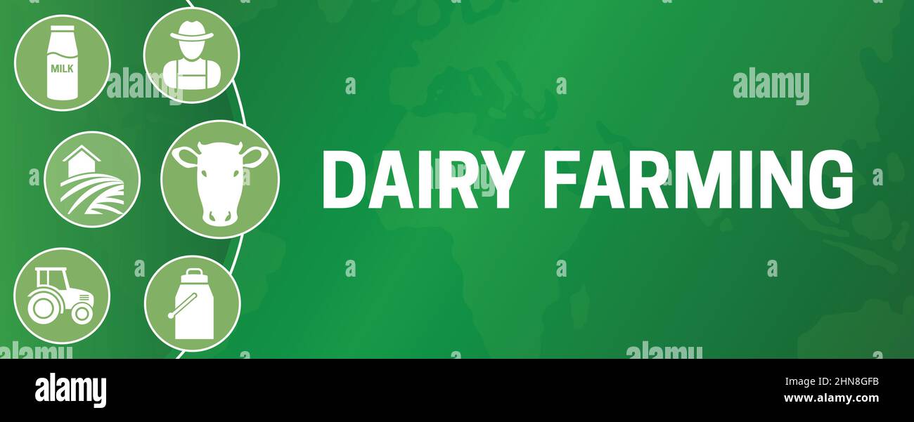 Dairy Farming Banner Illustration Background Stock Vector Image & Art ...