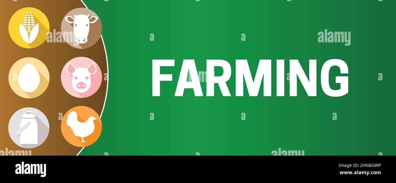 Farming Banner Illustration with Cow, Chicken, Pig, Corn, Milk, Egg ...