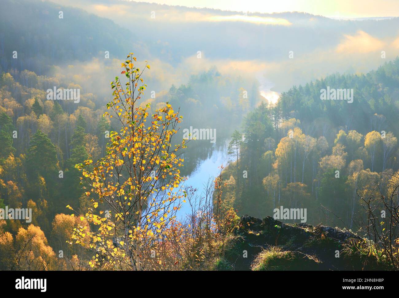 The valley of the Berd River in the foothills of the Salair ridge ...