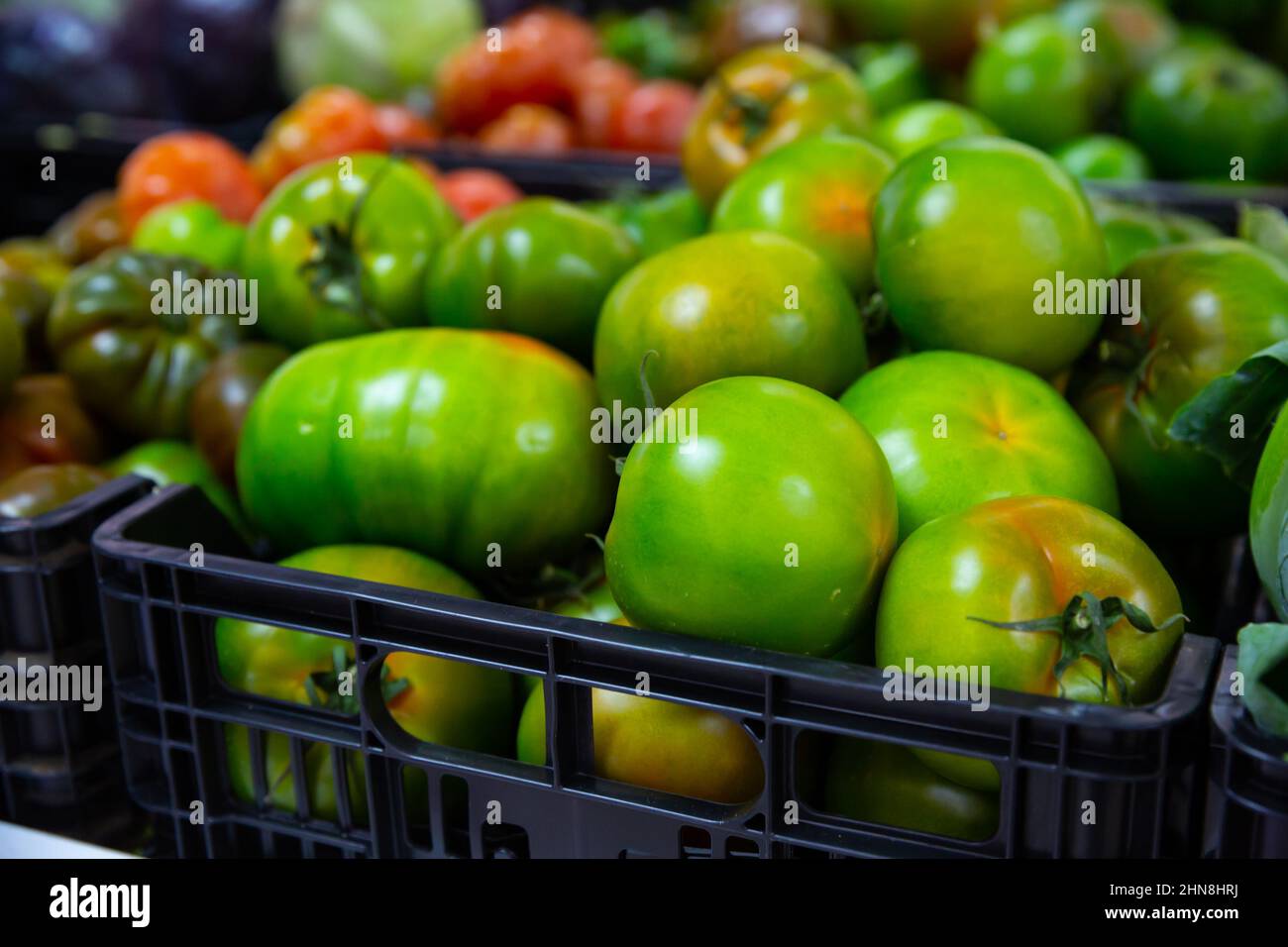 Green tomatoes in boxes on counter at store Stock Photo - Alamy
