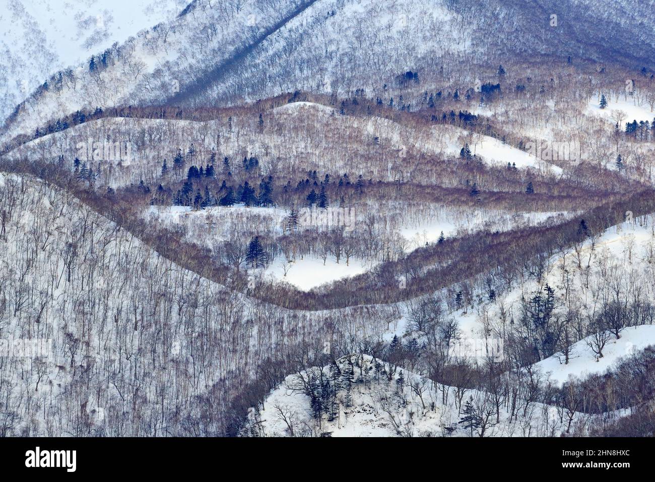 Japan winter landscape, hill with trees and snow. Rausu is mountain ...