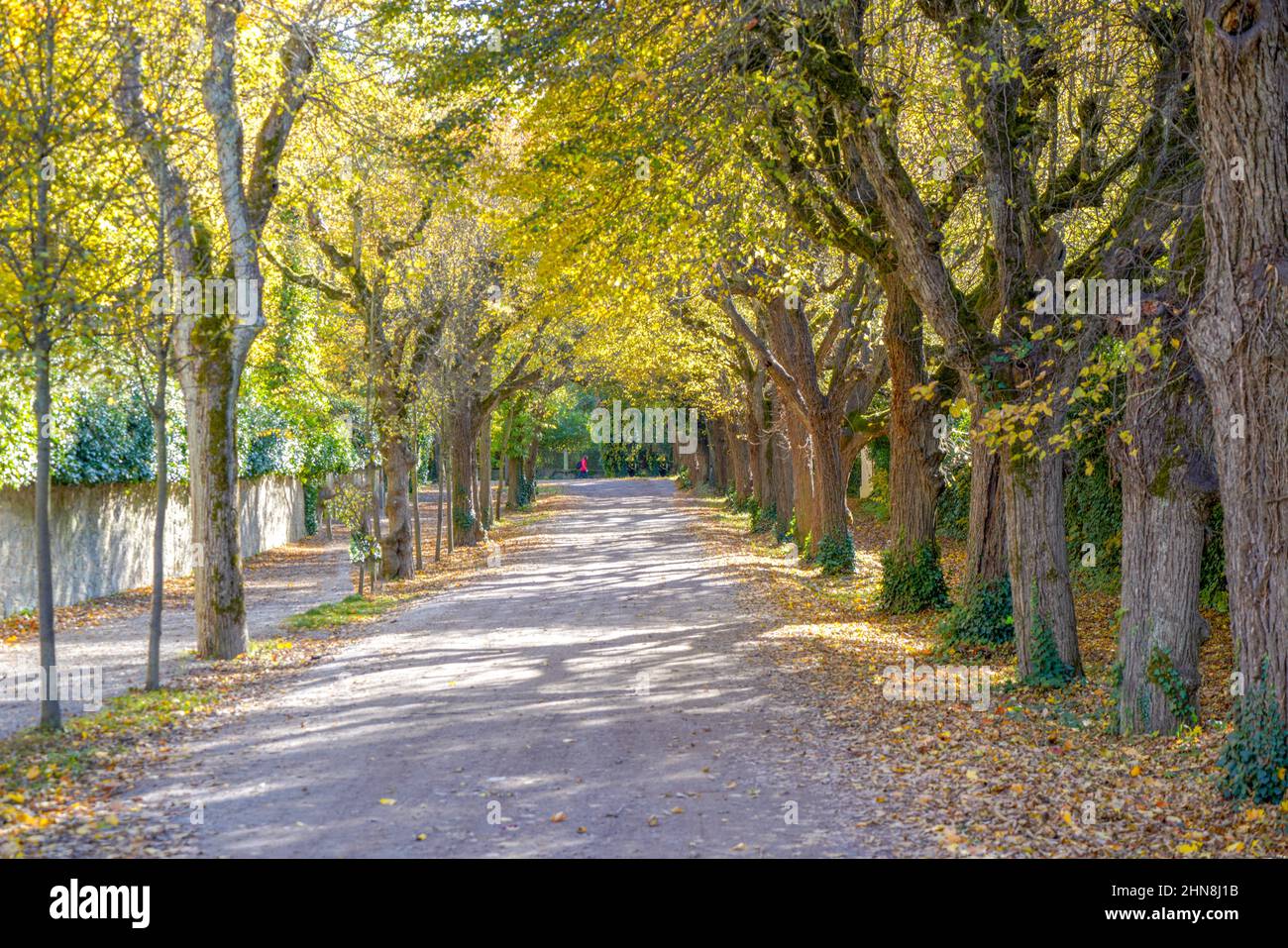 Well maintained park for recreation for all open in Germany Stock Photo ...