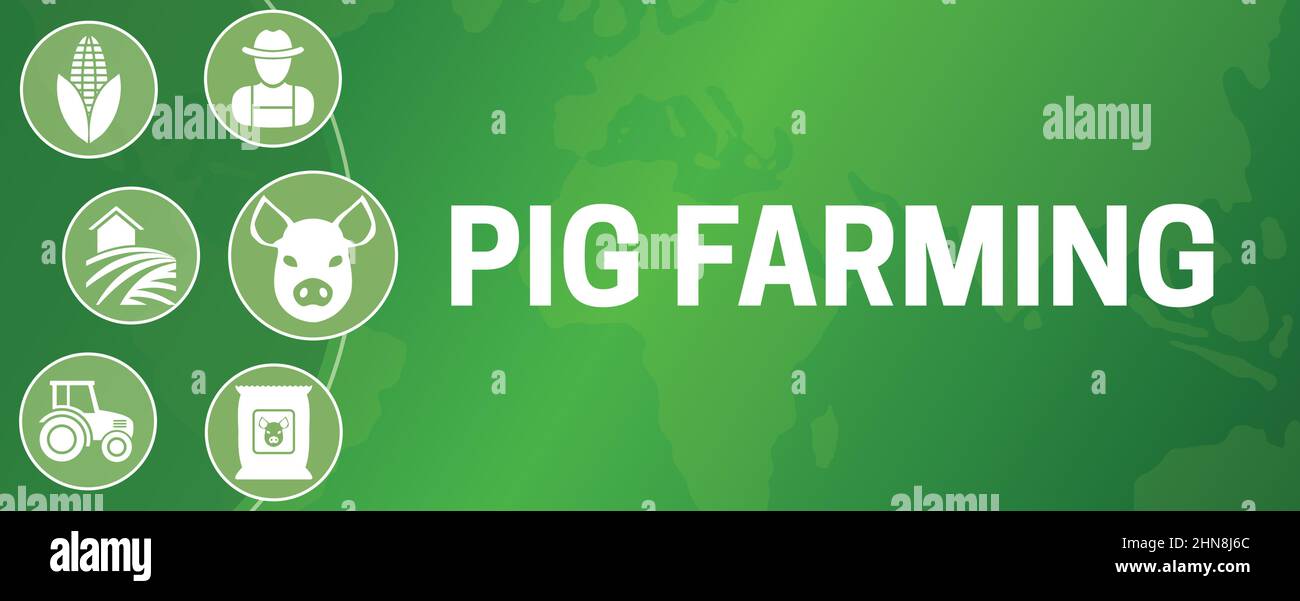 Pig Farming Illustration Banner Stock Vector Image & Art - Alamy