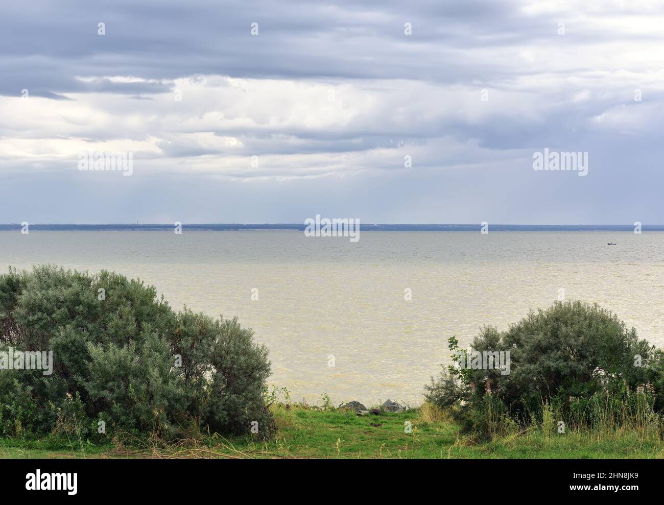 The green coast of the Ob sea with bushes, the water surface under a ...