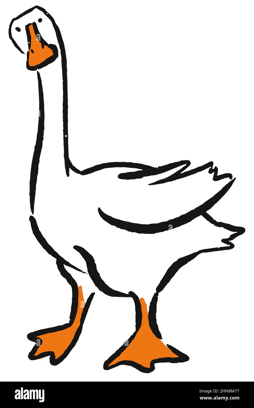 Goose illustration hi-res stock photography and images - Alamy